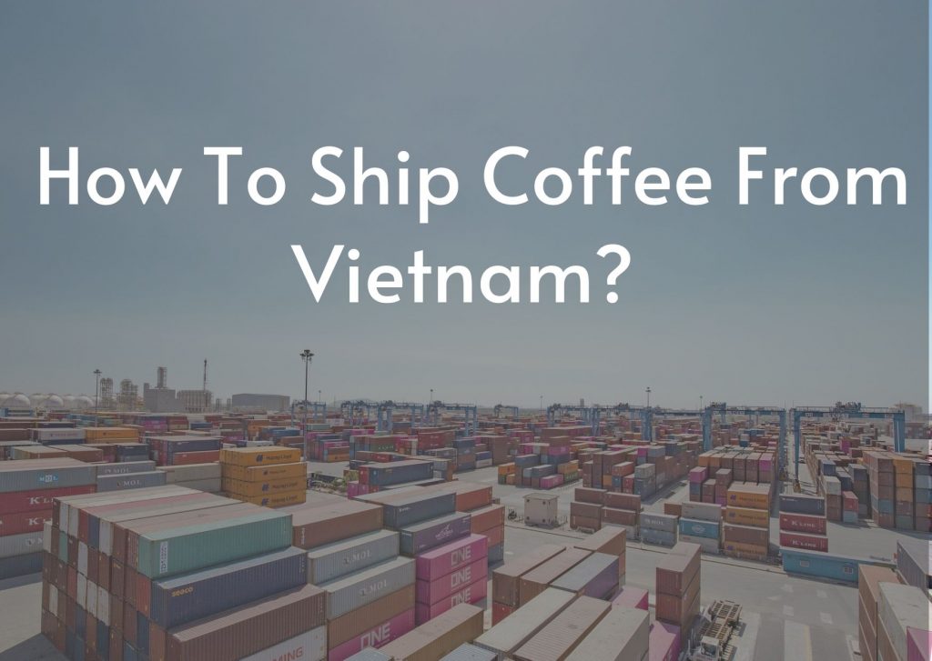 Vietnam's Coffee Market - Blog Series - VIEGO GLOBAL