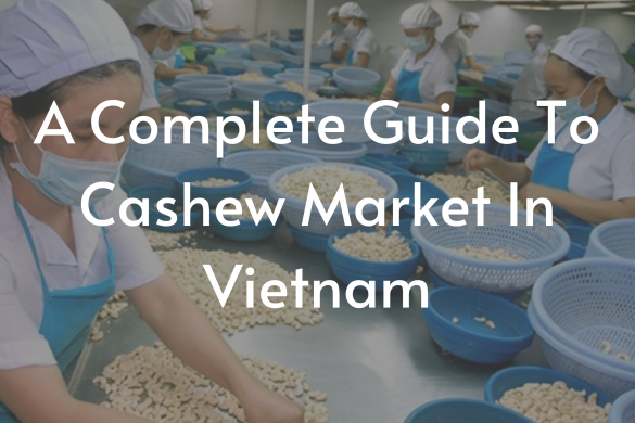 Vietnamese Rice: The In-depth Guide To Vietnam Rice Market