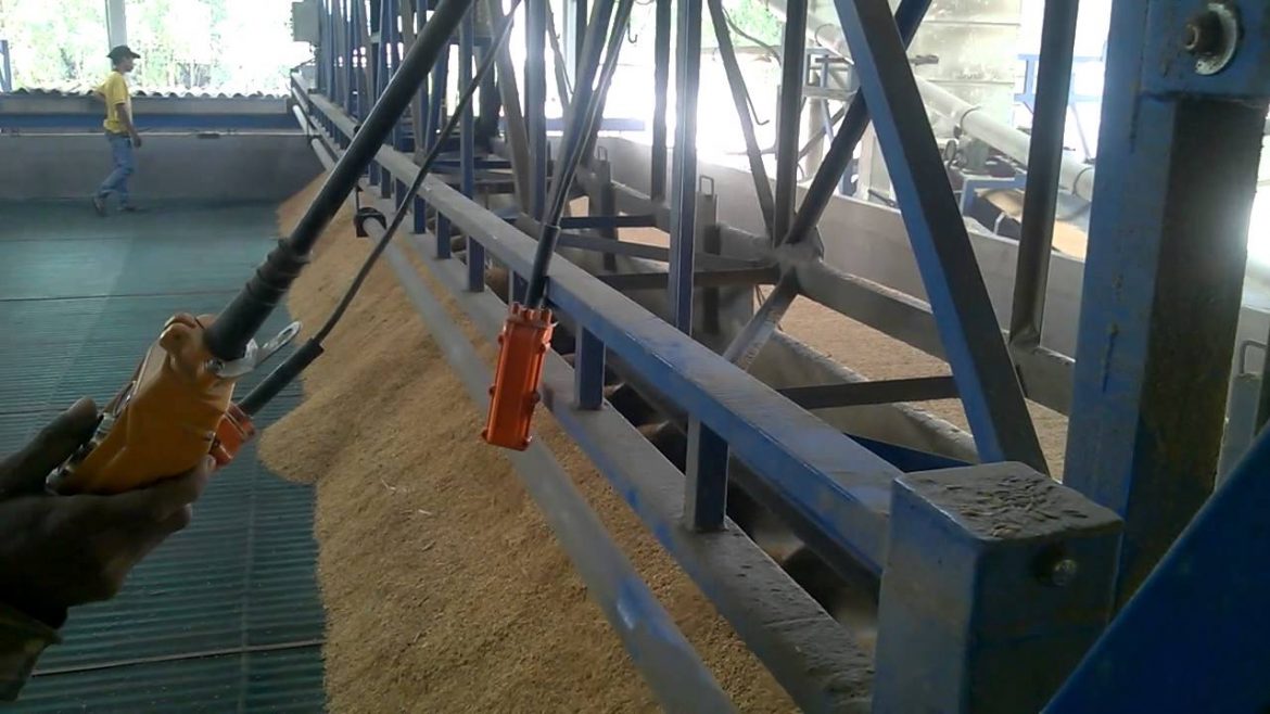 Vietnamese Rice: The In-depth Guide To Vietnam Rice Market