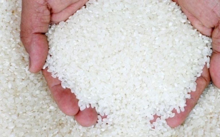 Vietnamese Rice: The In-depth Guide To Vietnam Rice Market