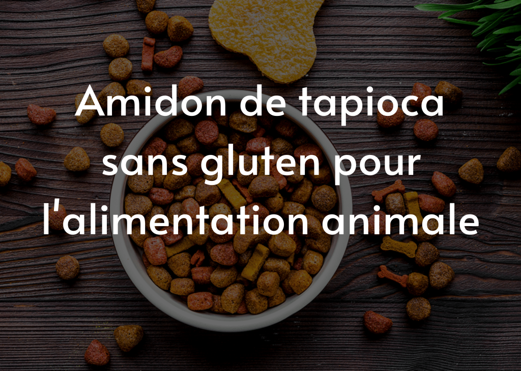 Amidon de tapioca sans gluten pour l'alimentation animale - Viego Global