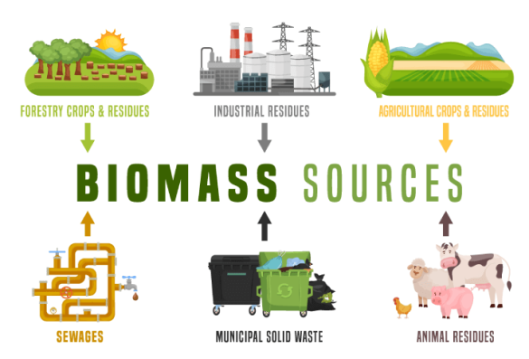 An Introduction To Vietnam Biomass Industry (Part 1)