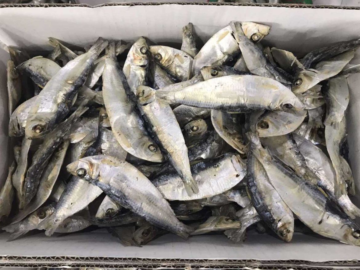 AN INTRODUCTION TO VIETNAM SEAFOOD MARKET - VIEGO GLOBAL